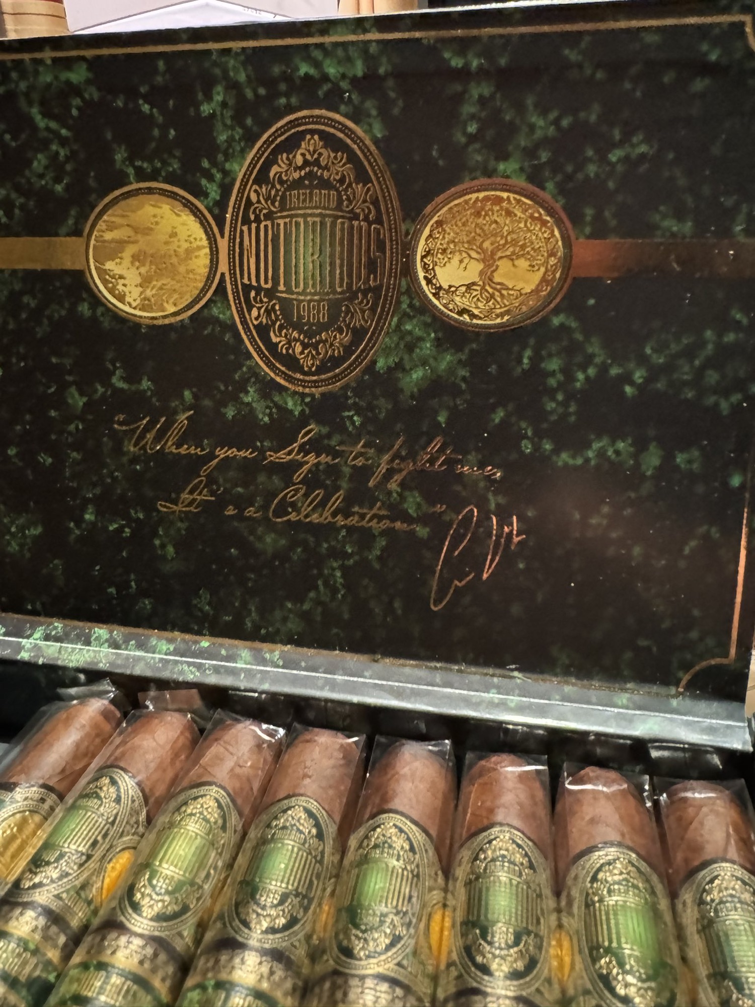 Former UFC champion Conor McGregor to launch cigar brand “Notorious ...